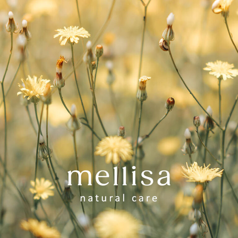 Mellisa - Mellisa